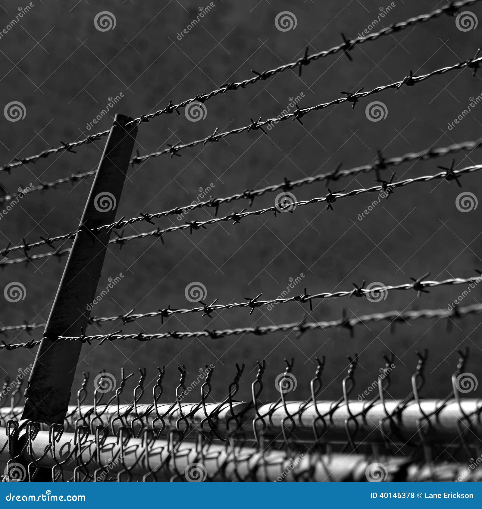 Barbed Wire Security Fence stock photo. Image of border - 40146378