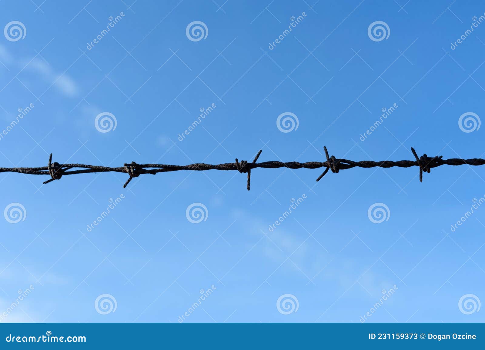 Barbed wire security stock image. Image of wall, tree - 231159373