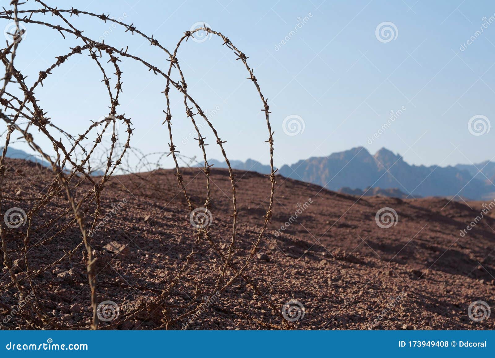 Barbed Wire in Sinai Desert, Egypt Stock Photo - Image of east, close ...