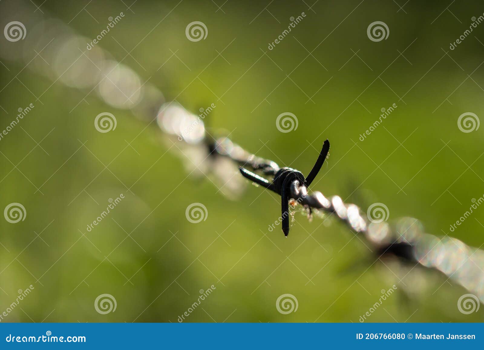 Barbed wire spike stock photo. Image of sharp, barbed - 206766080