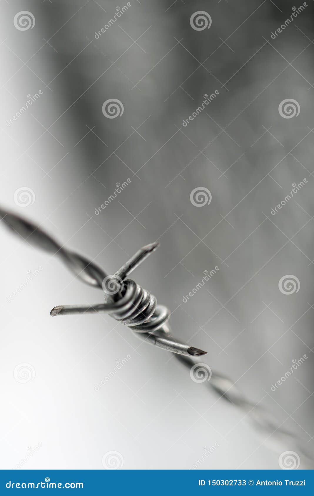 Barbed Wire Spirals with Selective Focus Stock Image - Image of chain ...