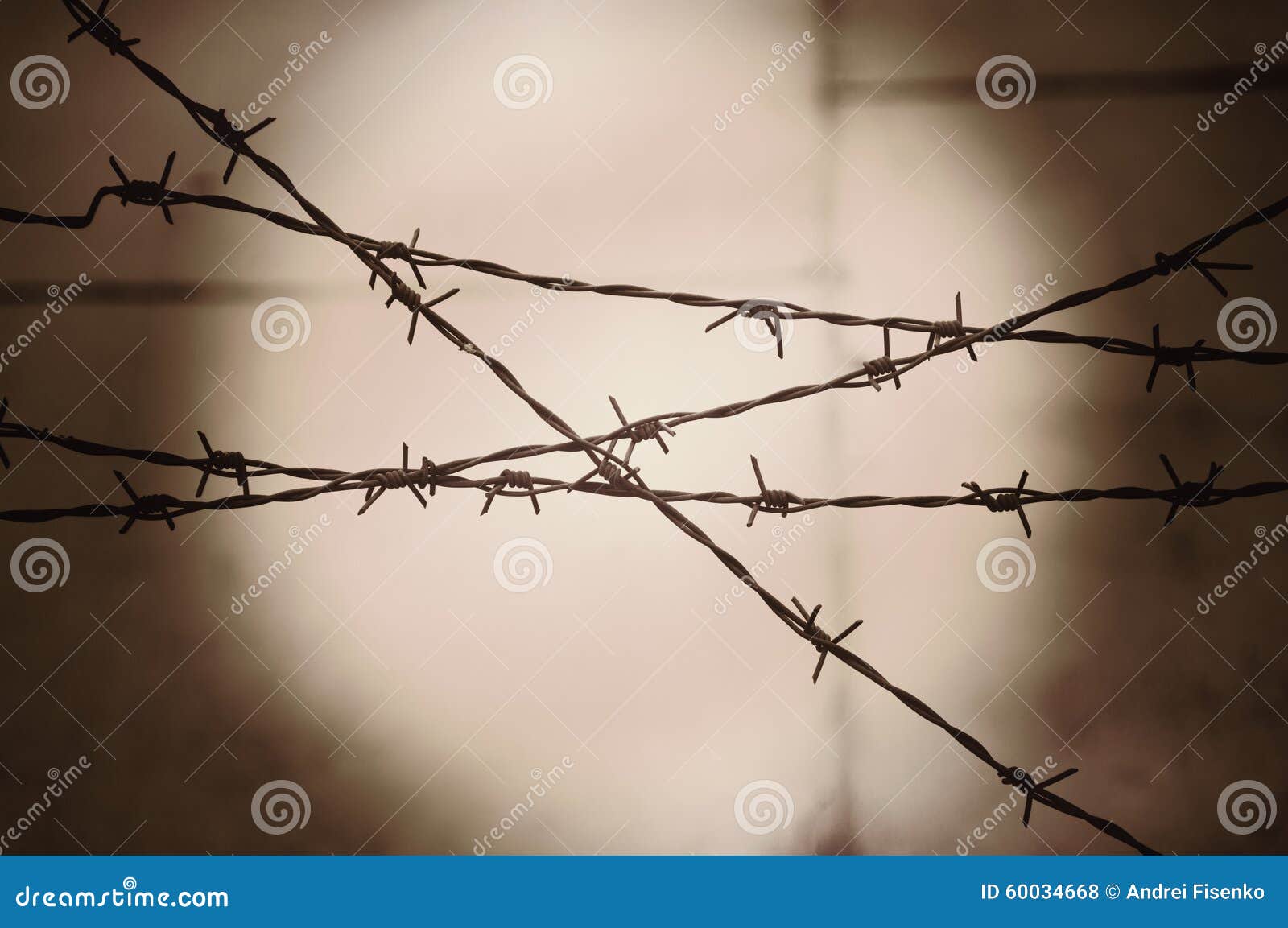 Barbed Wire in the Spotlight Stock Photo - Image of barricade, iron ...