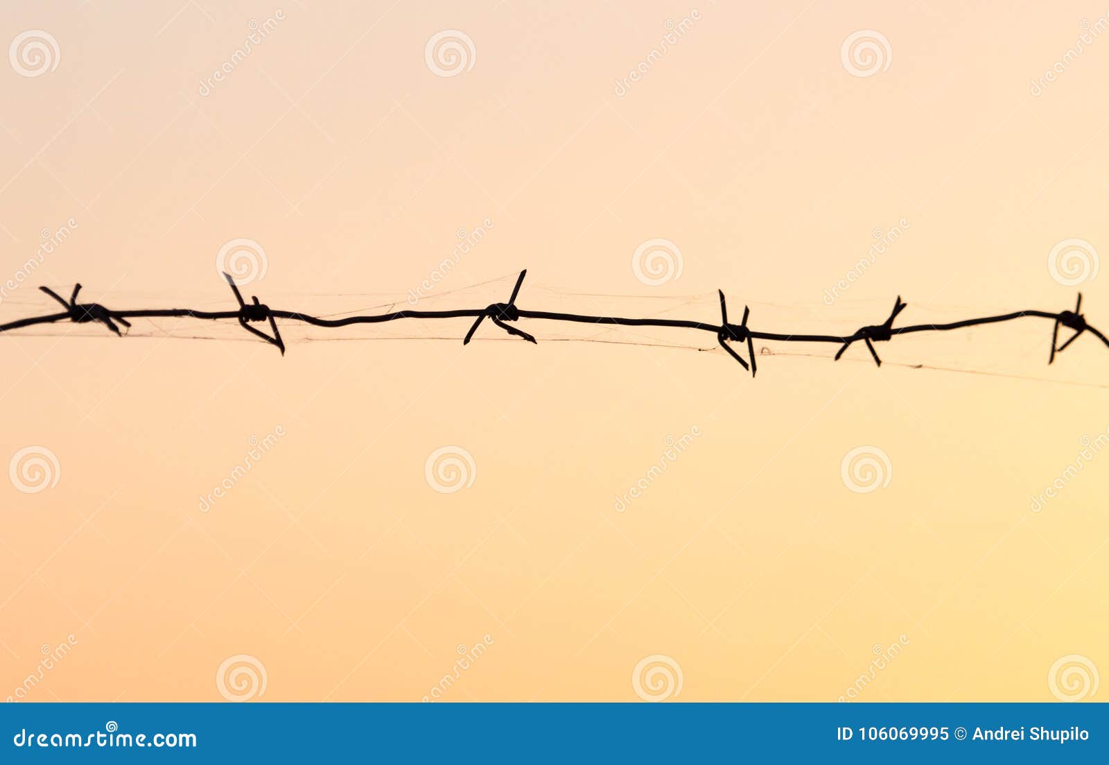Barbed wire at sunset stock image. Image of orange, color - 106069995
