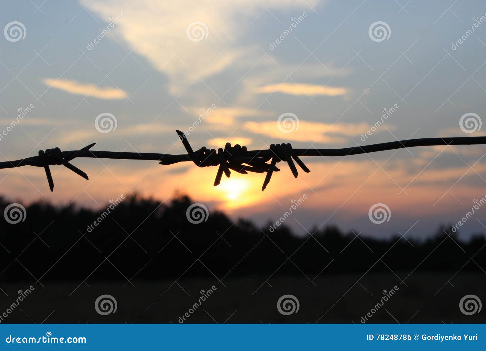 Barbed wire at sunset. stock photo. Image of sunrise - 78248786