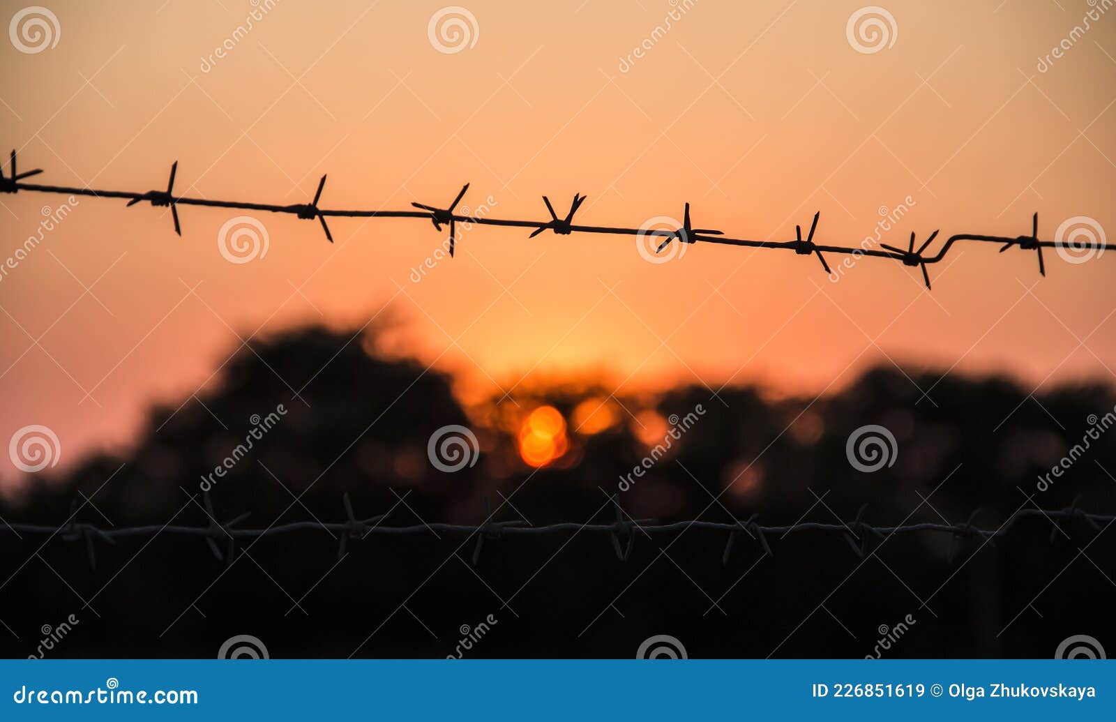 Barbed Wire at Sunset. Jail. the Border Stock Image - Image of prison ...