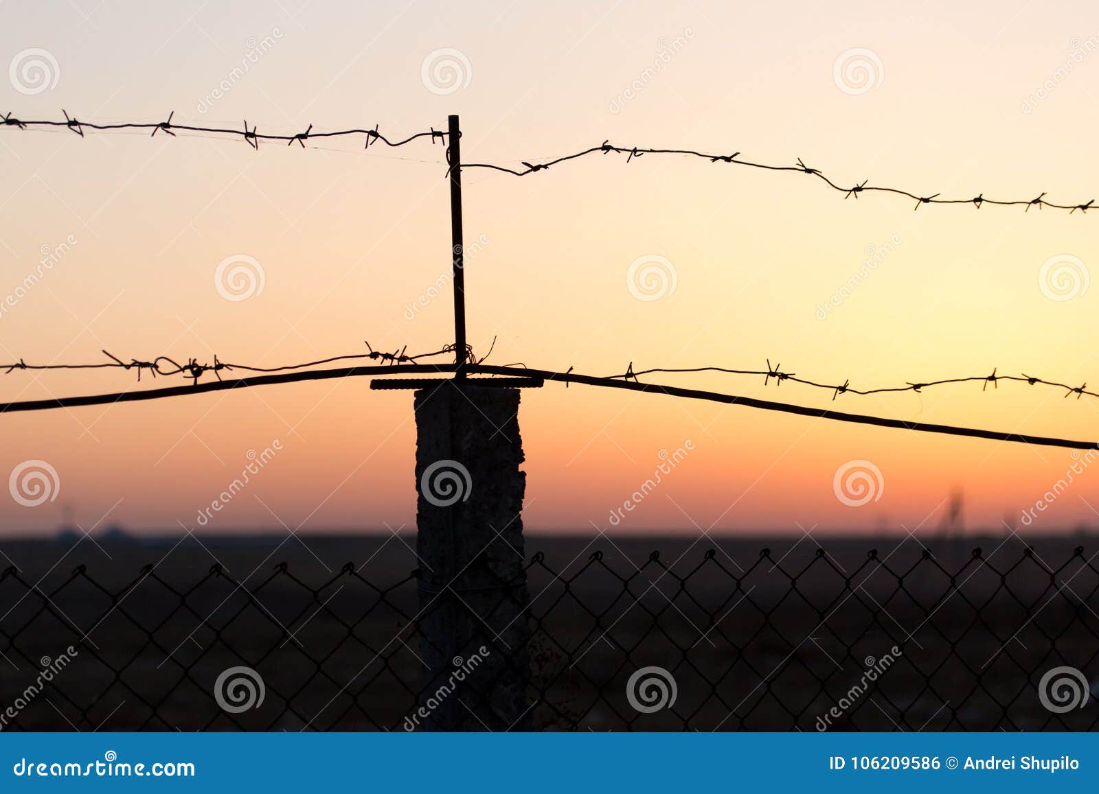 Barbed wire at sunset stock photo. Image of nature, abstract - 106209586