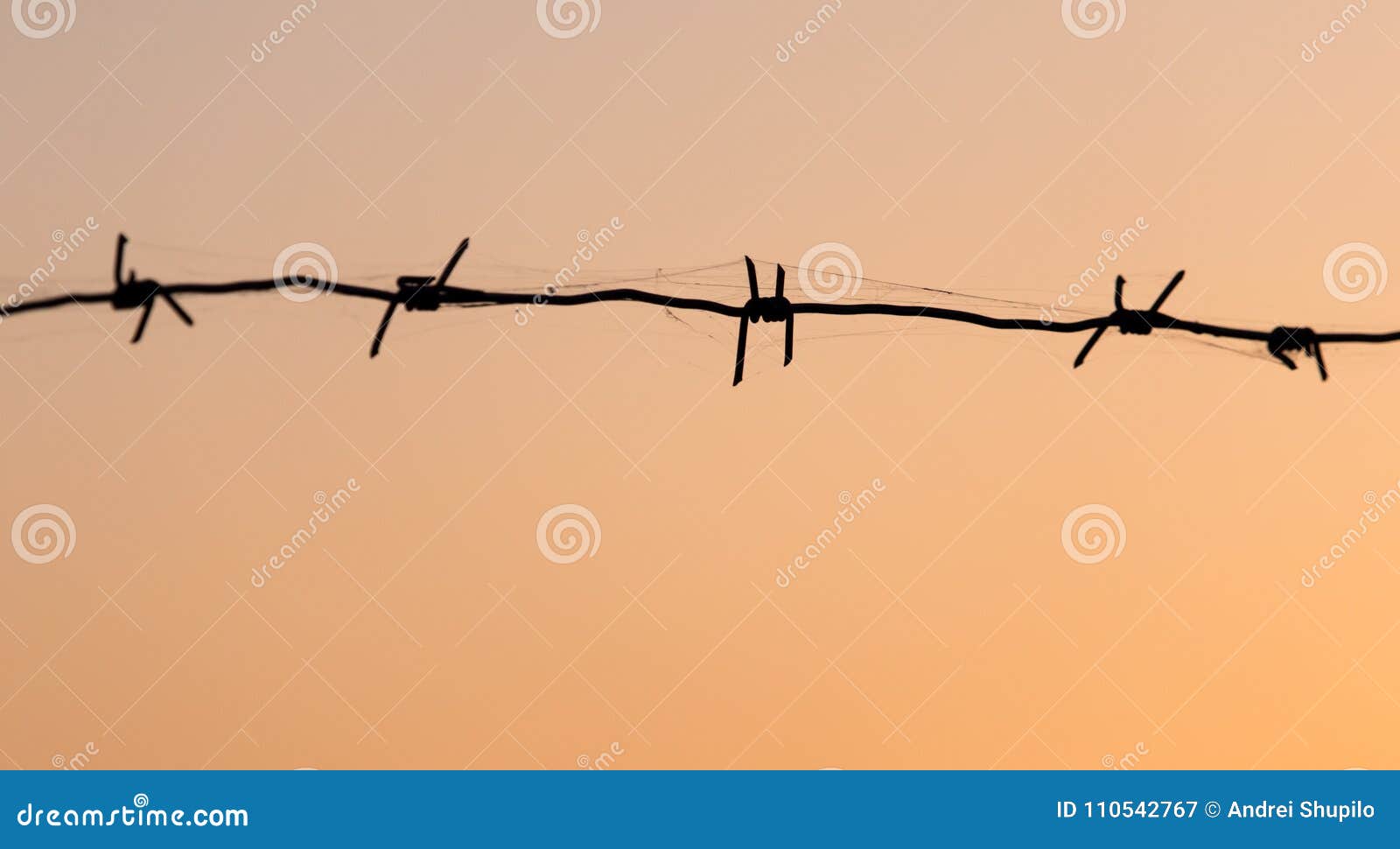 Barbed wire at sunset stock image. Image of color, abstract - 110542767