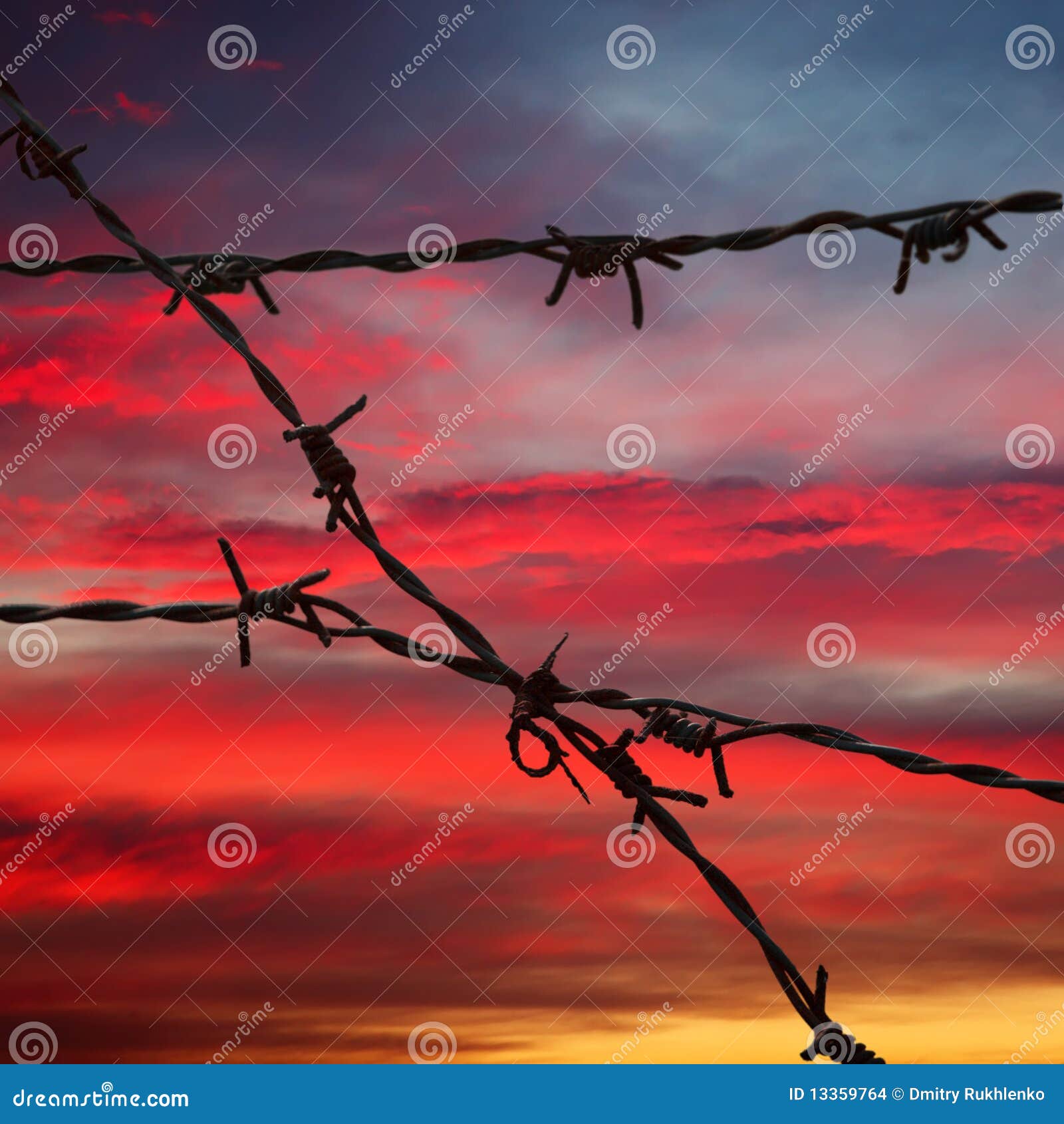 Barbed wire in sunset sky stock photo. Image of horizontal - 13359764