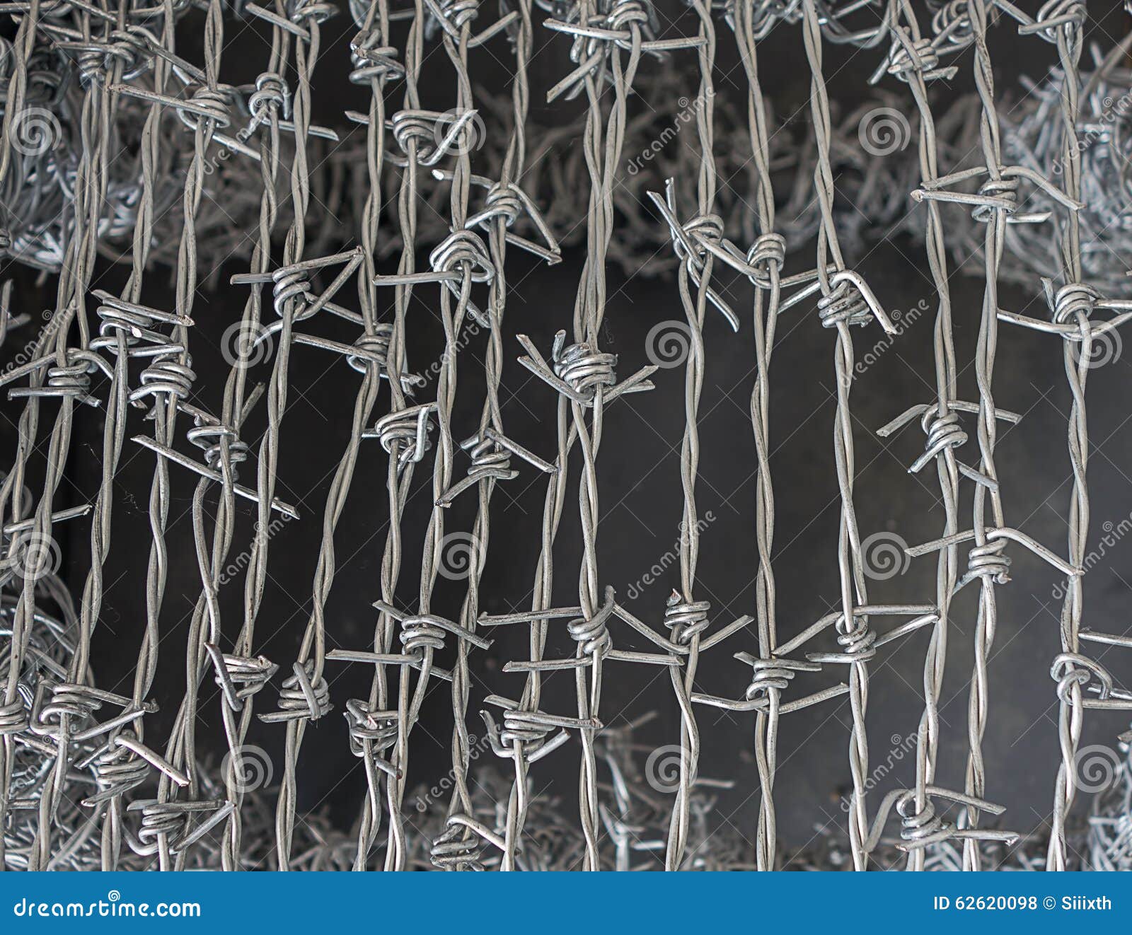 Barbed wire stock photo. Image of guard, graphic, shape - 62620098