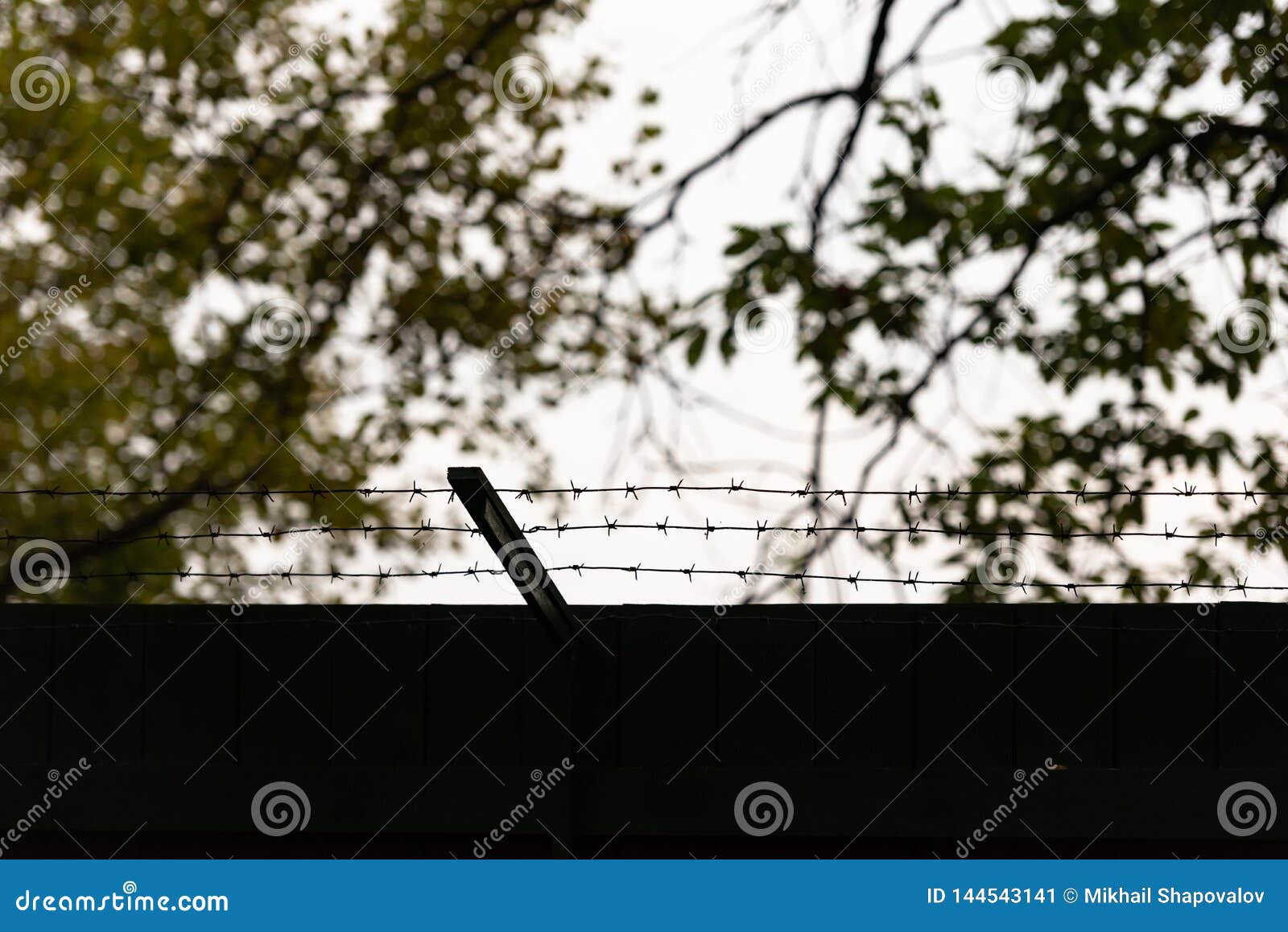 Barbed Wire on Top of a Fence. Stock Image - Image of barbed, freedom ...