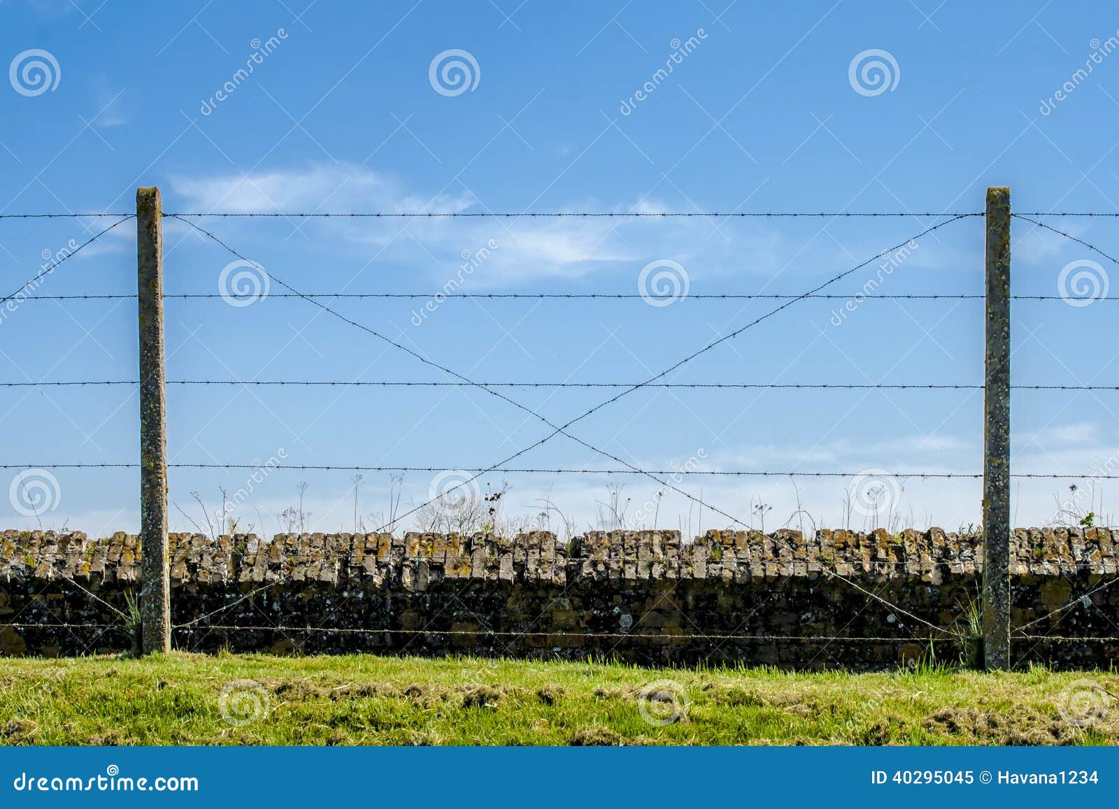 Barbed Wire Trench of Death World War One Stock Image - Image of flower ...