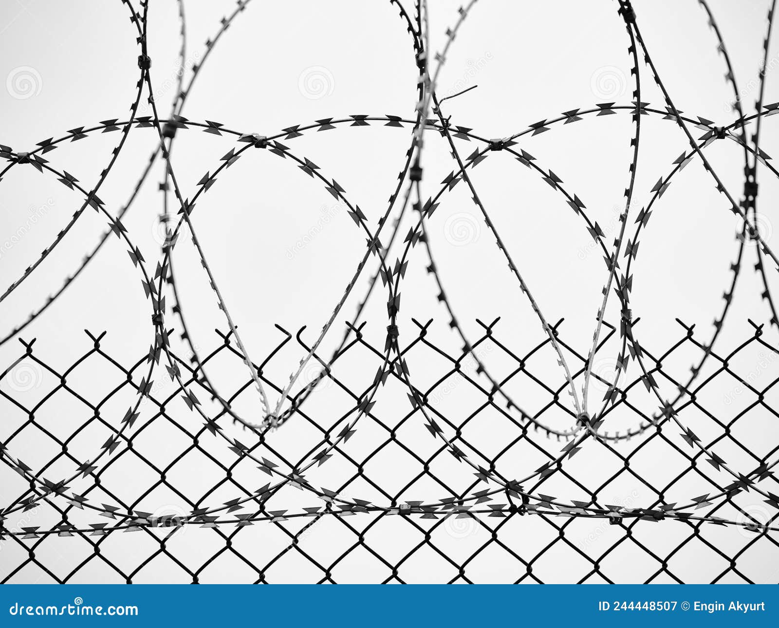 Barbed Wire in a Prison Wall Stock Image - Image of defense, concept ...