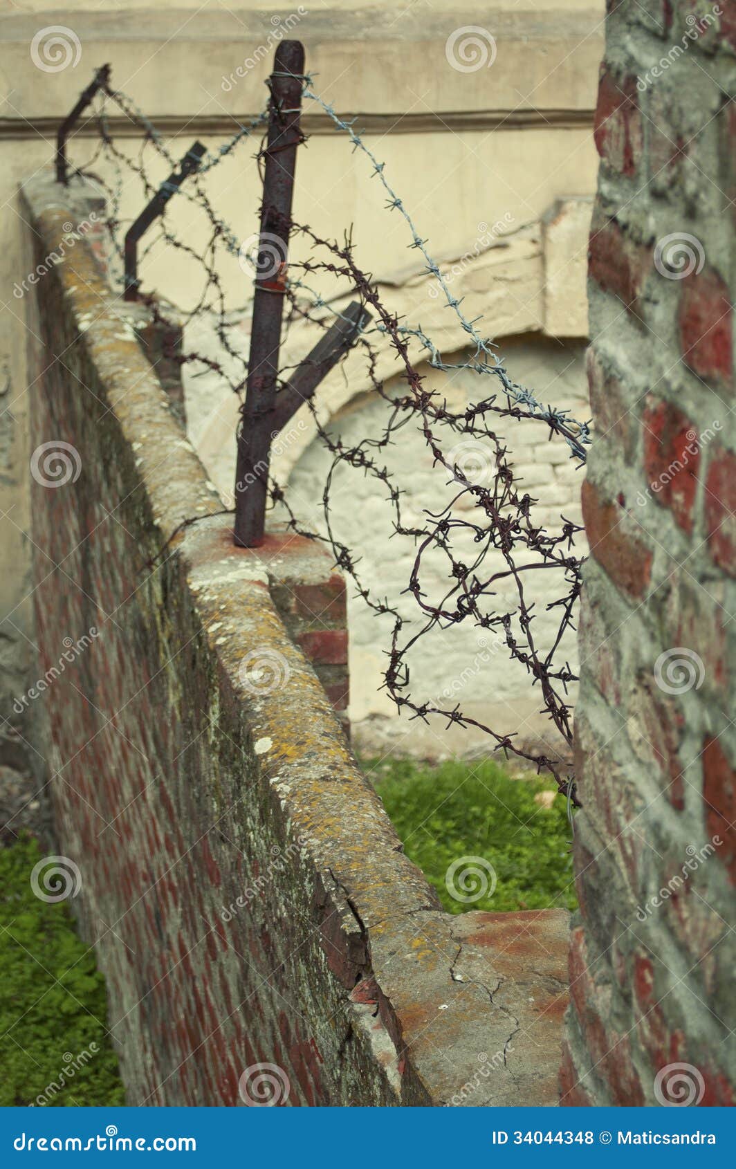 Barbed wire on a wall. stock photo. Image of iron, security - 34044348