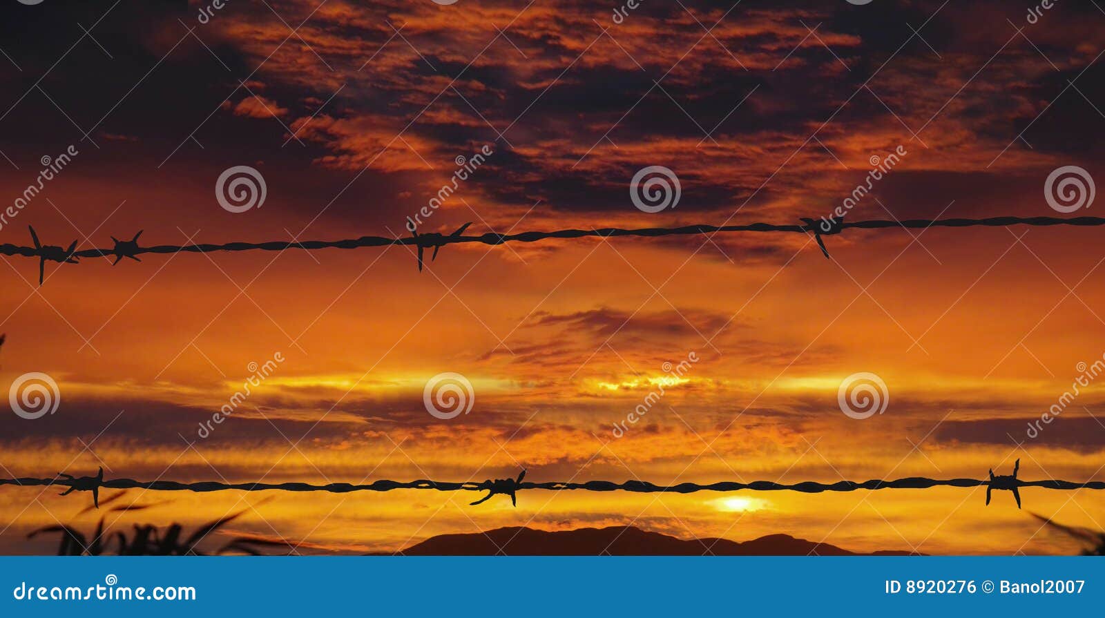 Barbed Wire on War Sunset. Fire in Sky. Stock Photo - Image of barbed ...