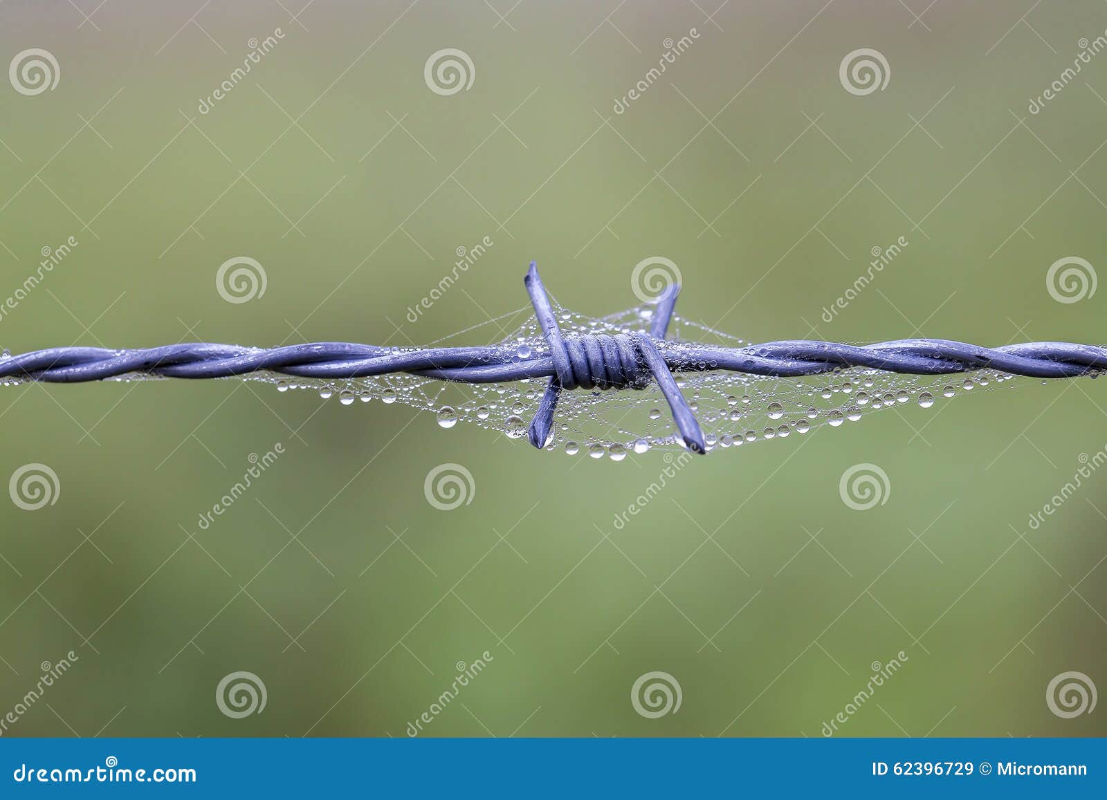 Barbed Wire - Water Droplets Stock Image - Image of guard, sharp: 62396729