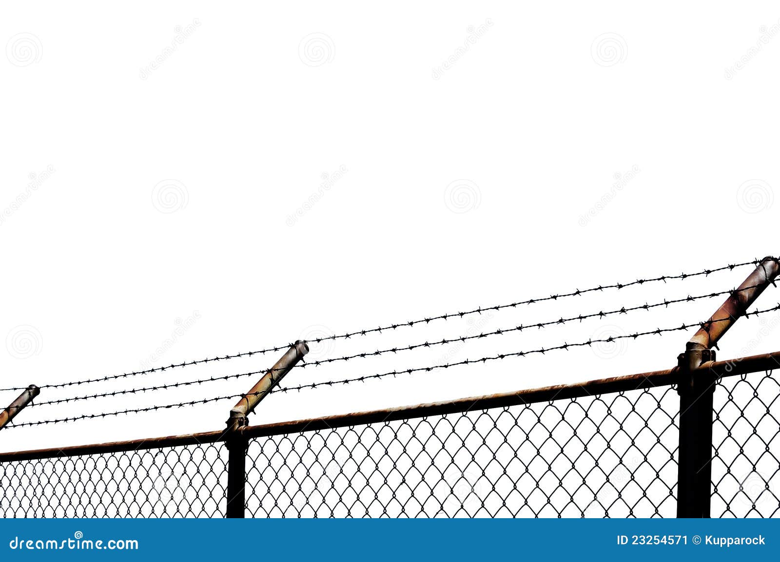 Barbed Wire with White Background Stock Image - Image of outdoor ...
