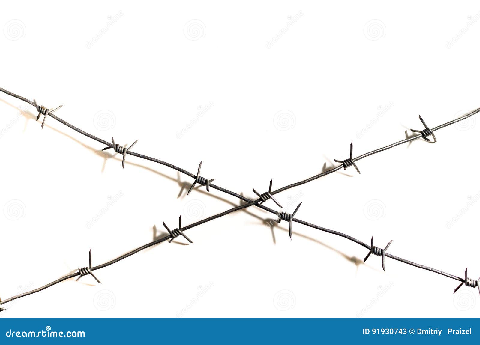 Barbed Wire on White Background Stock Image - Image of white, close ...