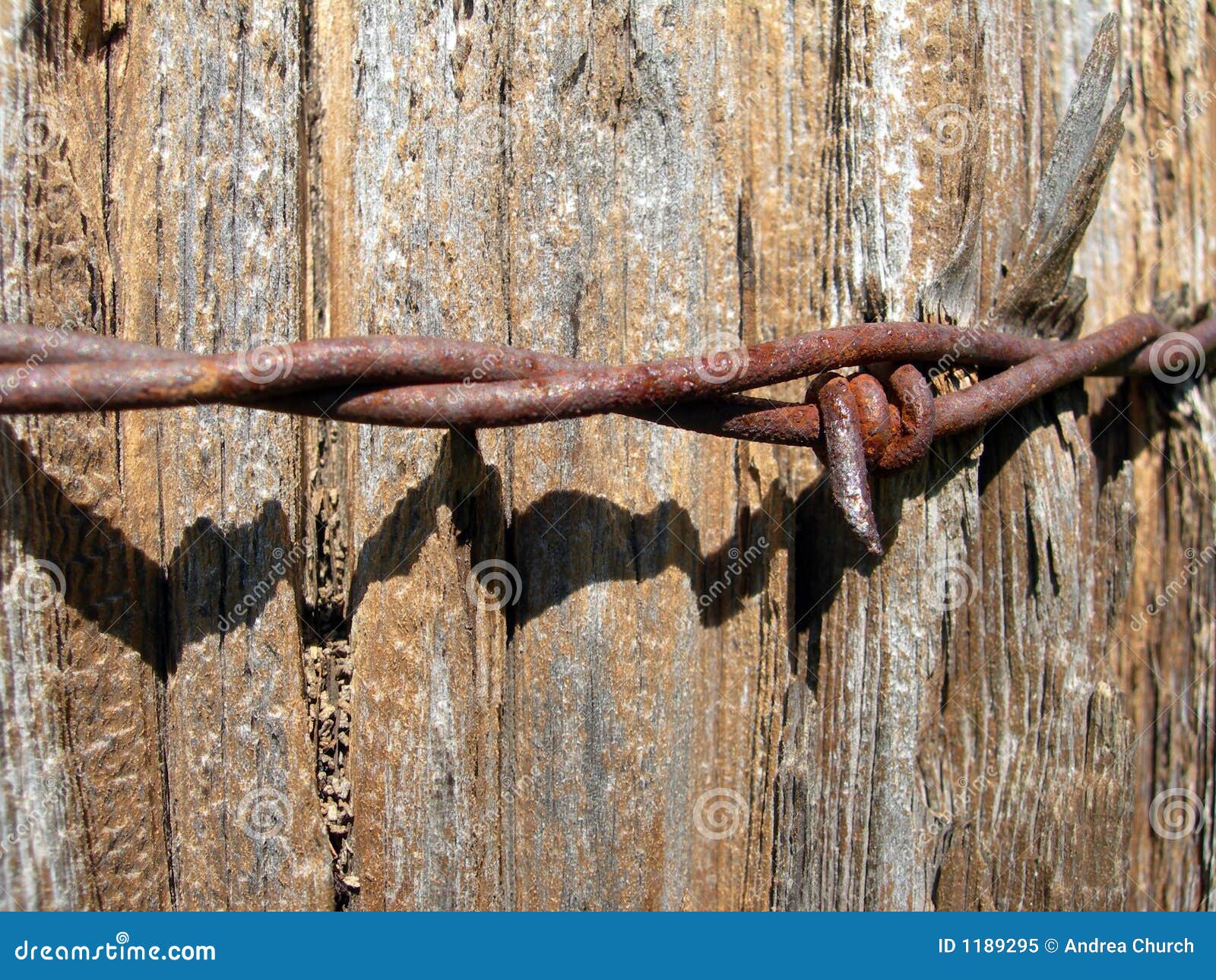 Barbed wire on wooden post stock image. Image of weathered - 1189295