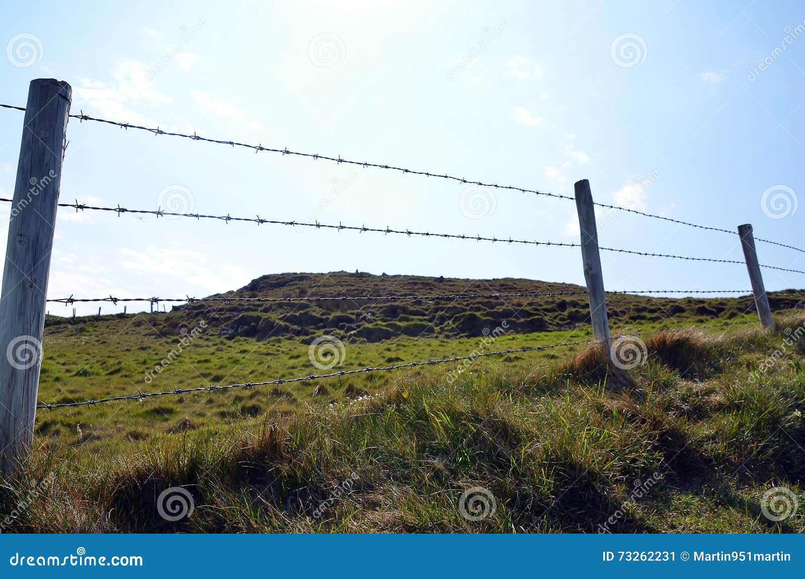 Barbed Wire and Wooden Stakes Boundary of Pasture Stock Image - Image ...