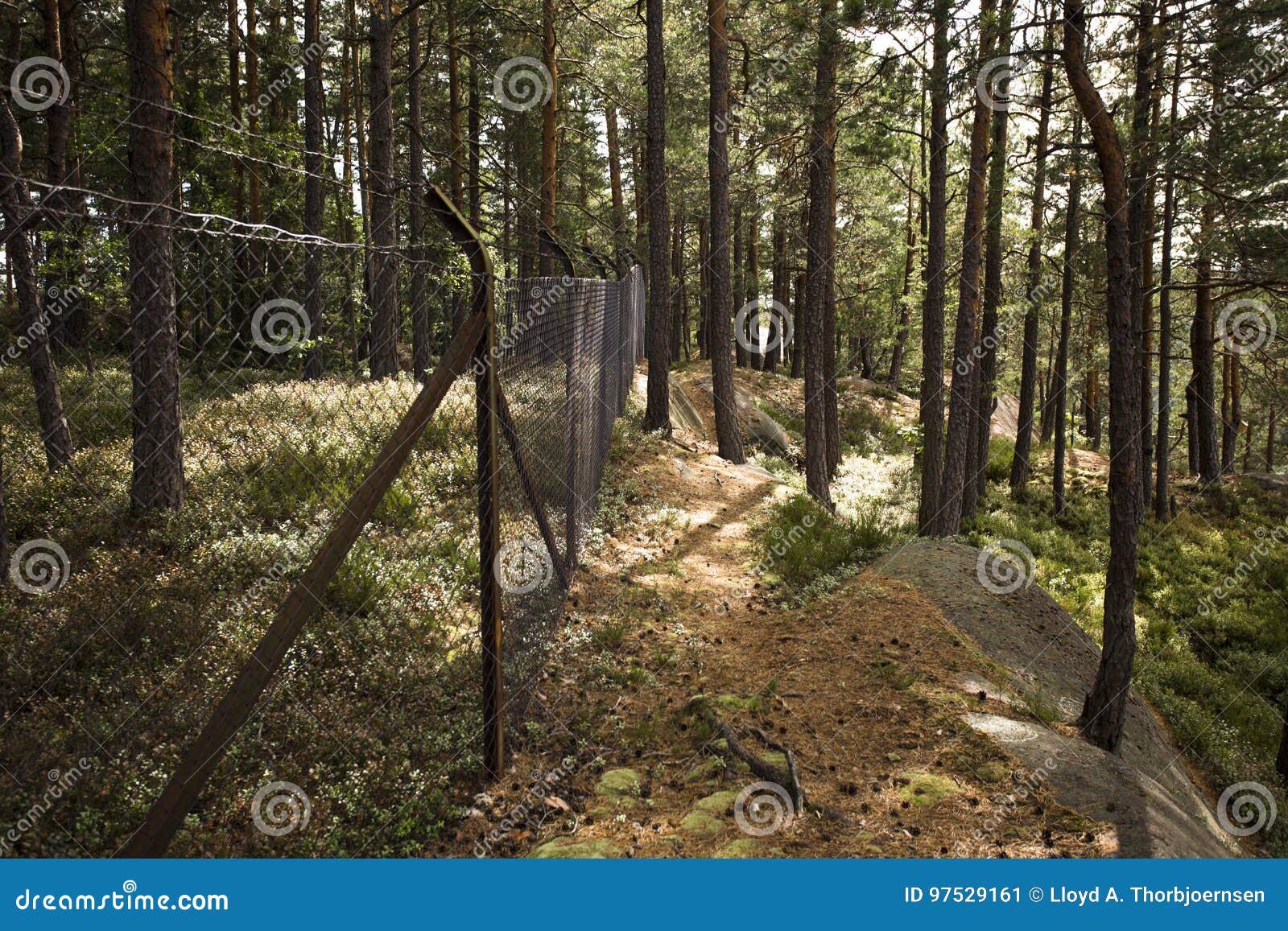 Barbed wired fence stock image. Image of background, wire - 97529161