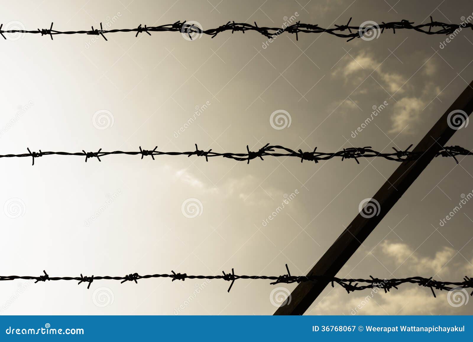 Silhouette Barbed Wire Stock Photography | CartoonDealer.com #101160362