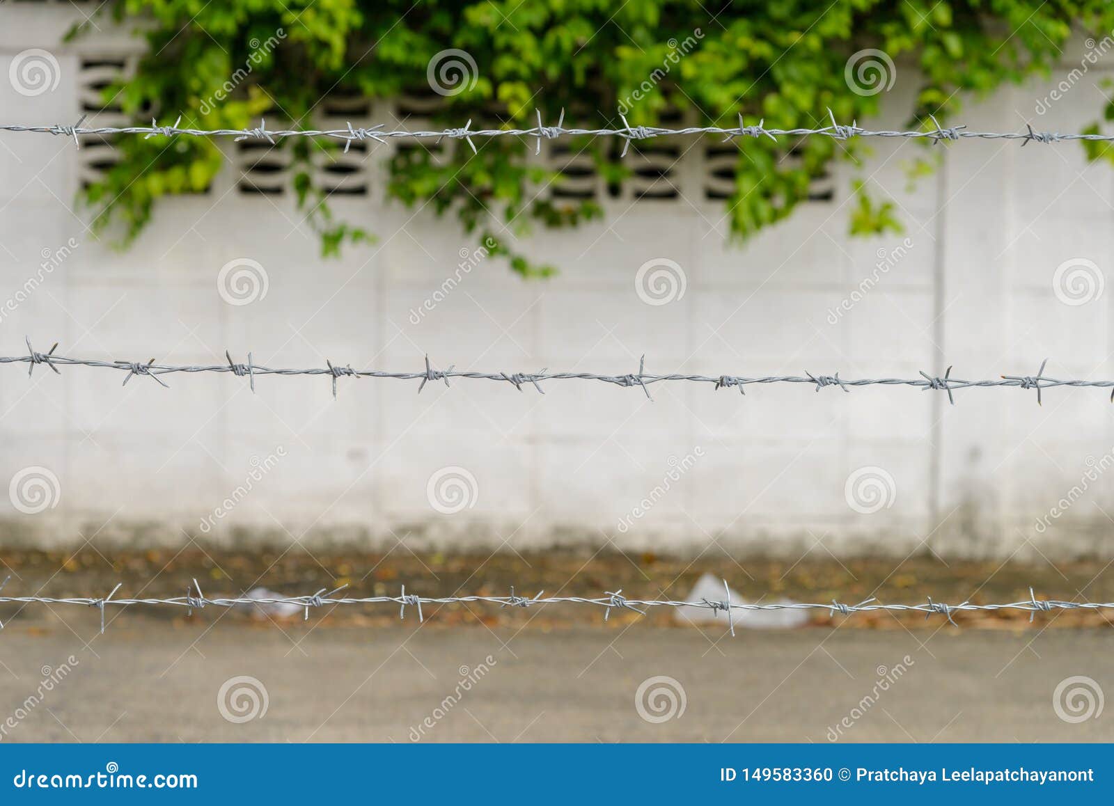 Barbed wires for security stock photo. Image of steel - 149583360