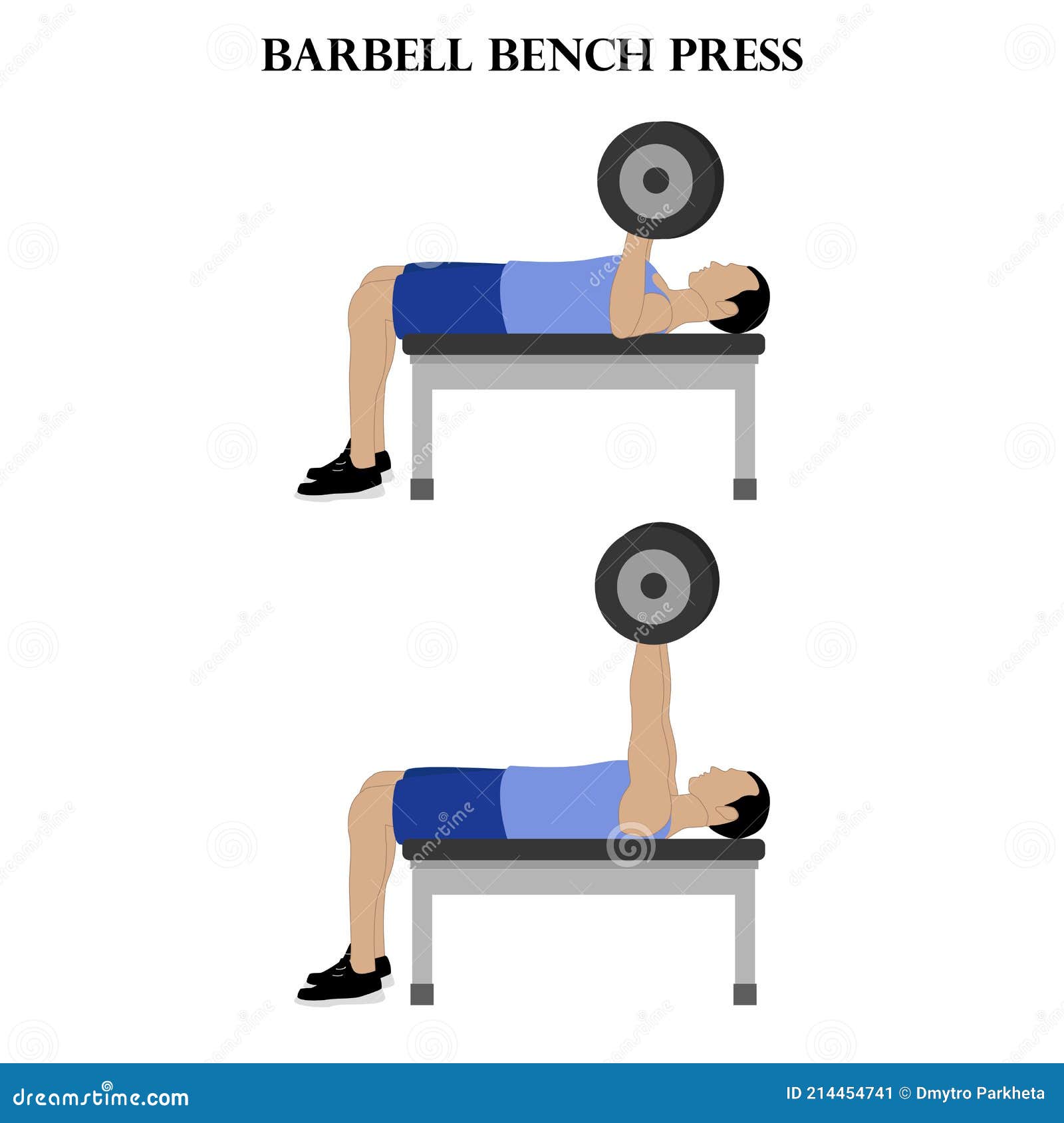 Barbell Bench Press Exercise Strength Workout Vector Illustration Stock ...