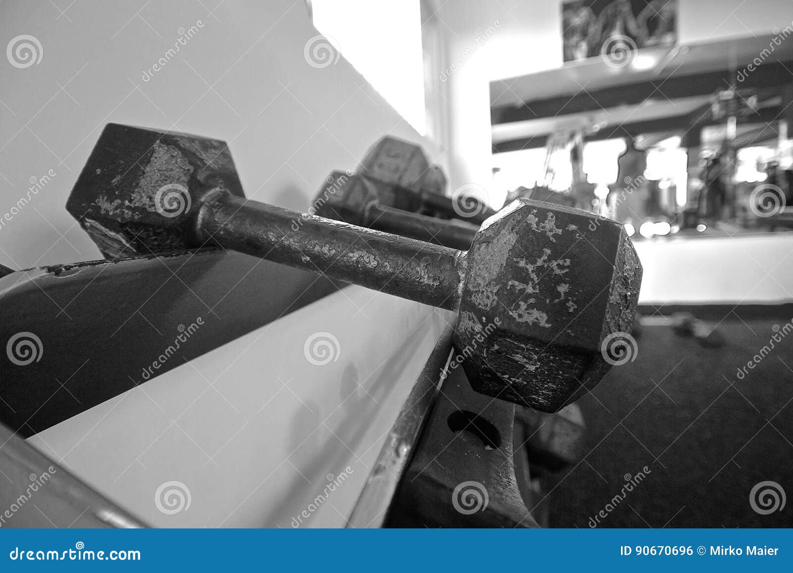Barbells for the gym stock photo. Image of white, sweat - 90670696