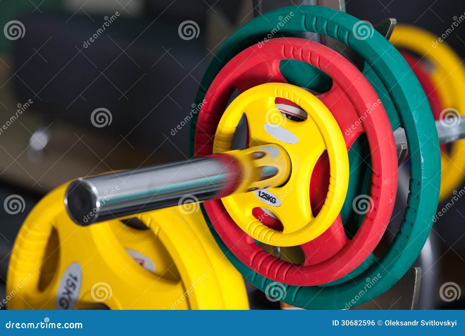 Barbells - gym equipment stock photo. Image of slim, body - 30682596