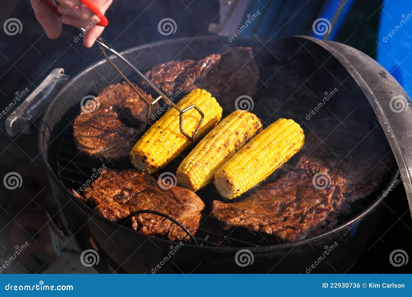 Barbeque stock photo. Image of metal, smoke, barbeque - 22930736