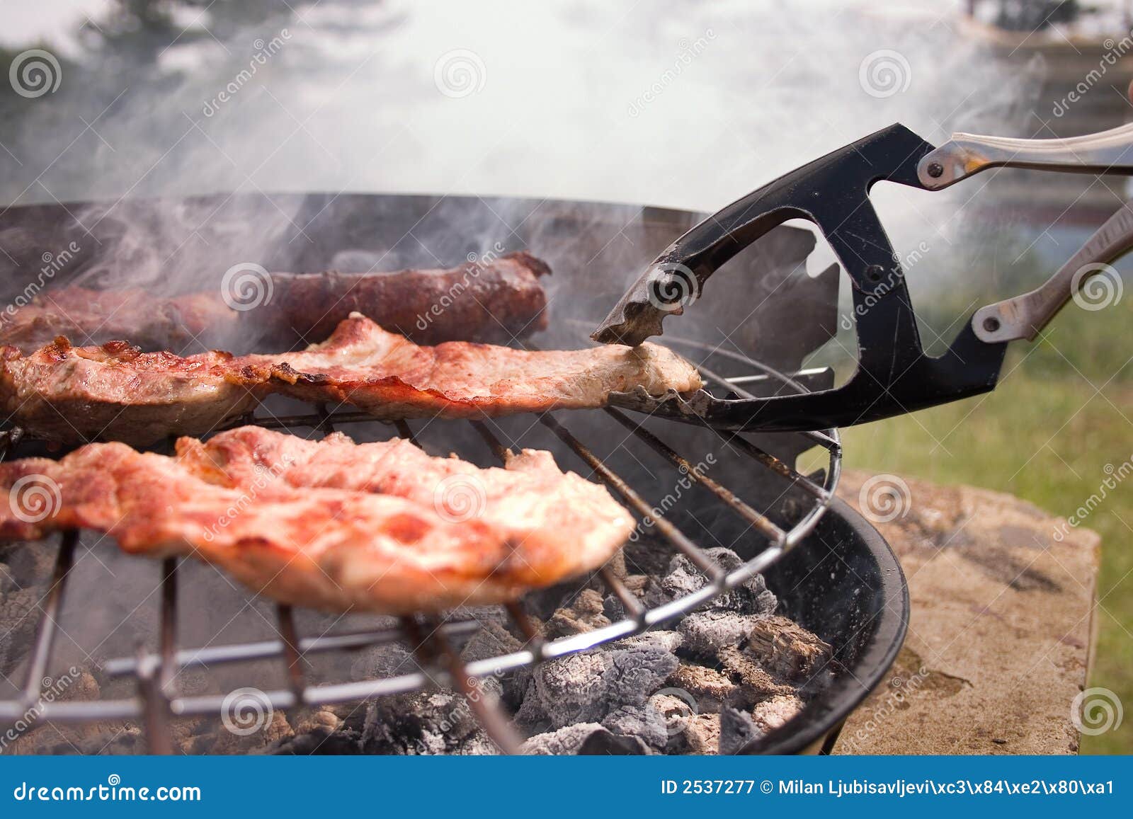 Barbeque stock image. Image of backyard, nature, heat - 2537277