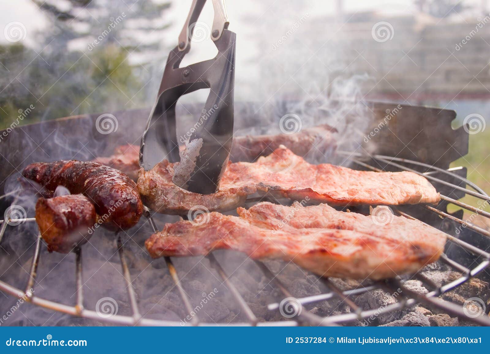 Barbeque stock photo. Image of backyard, heat, food, burn - 2537284