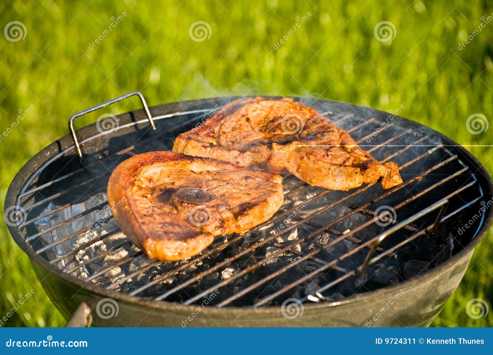 Barbeque stock image. Image of outdoor, barbeque, smoke - 9724311