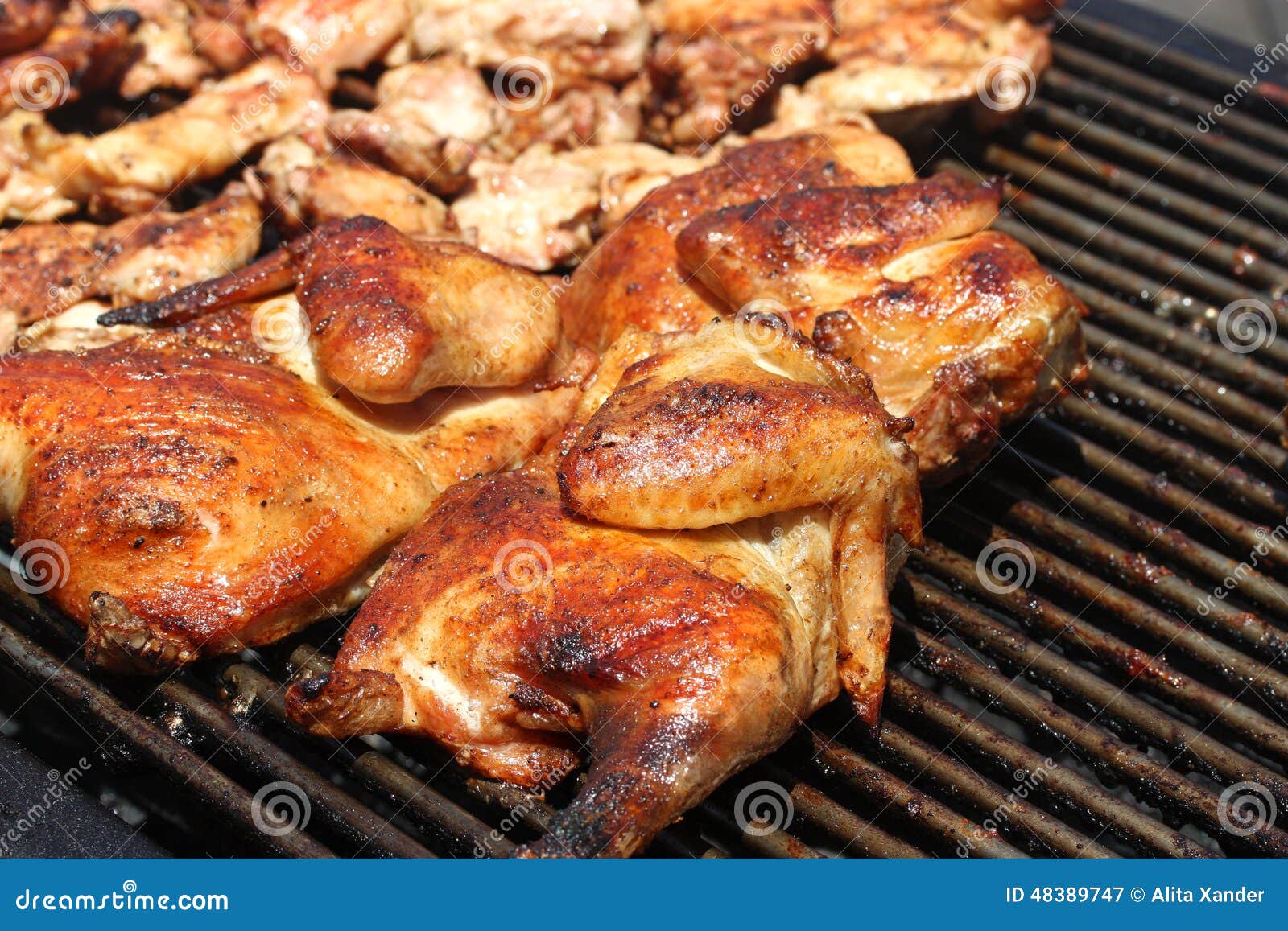 Barbeque Chicken stock image. Image of fresh, coal, cook - 48389747