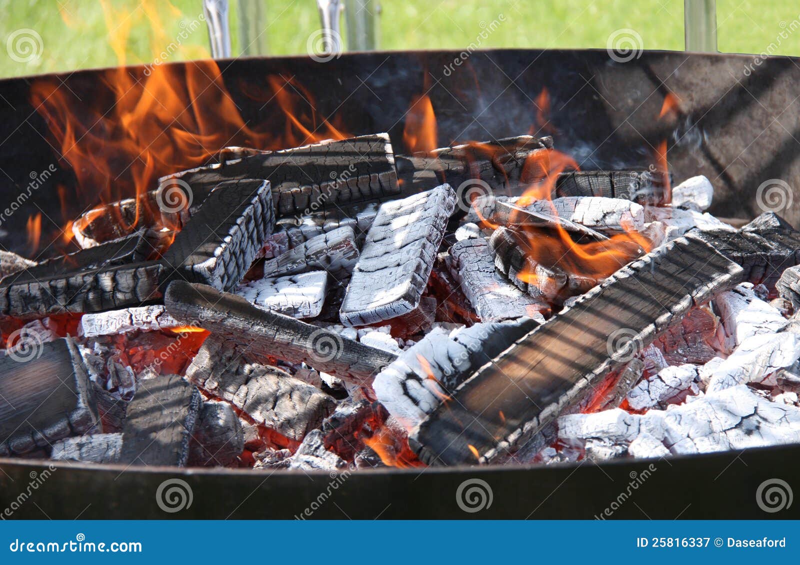 Barbeque Fire. stock image. Image of cook, flame, coal - 25816337