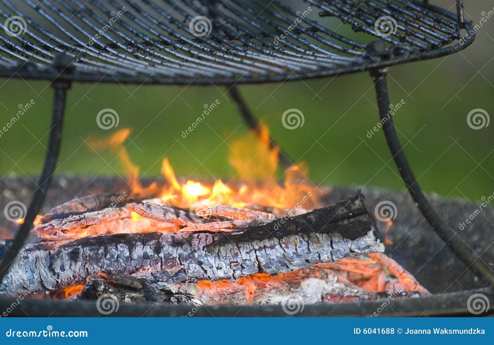 Barbeque fire stock photo. Image of metal, grill, barbecue - 6041688