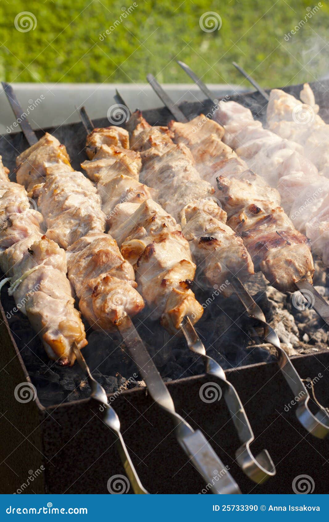 Barbeque meat stock photo. Image of dish, beefsteak, flame - 25733390