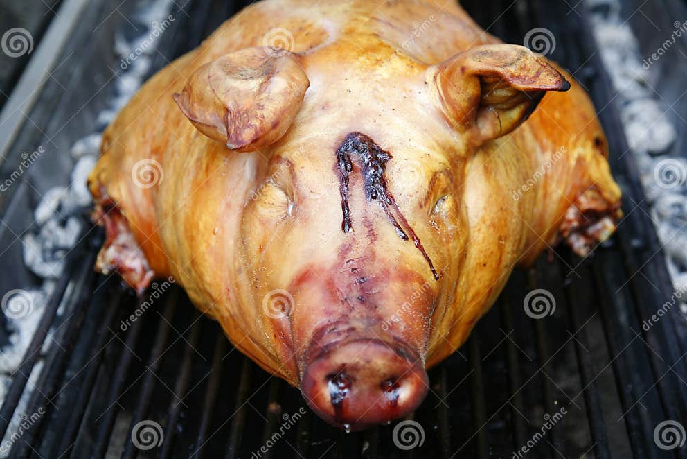 Barbeque pig stock image. Image of gourmet, piglet, outdoor - 7619643
