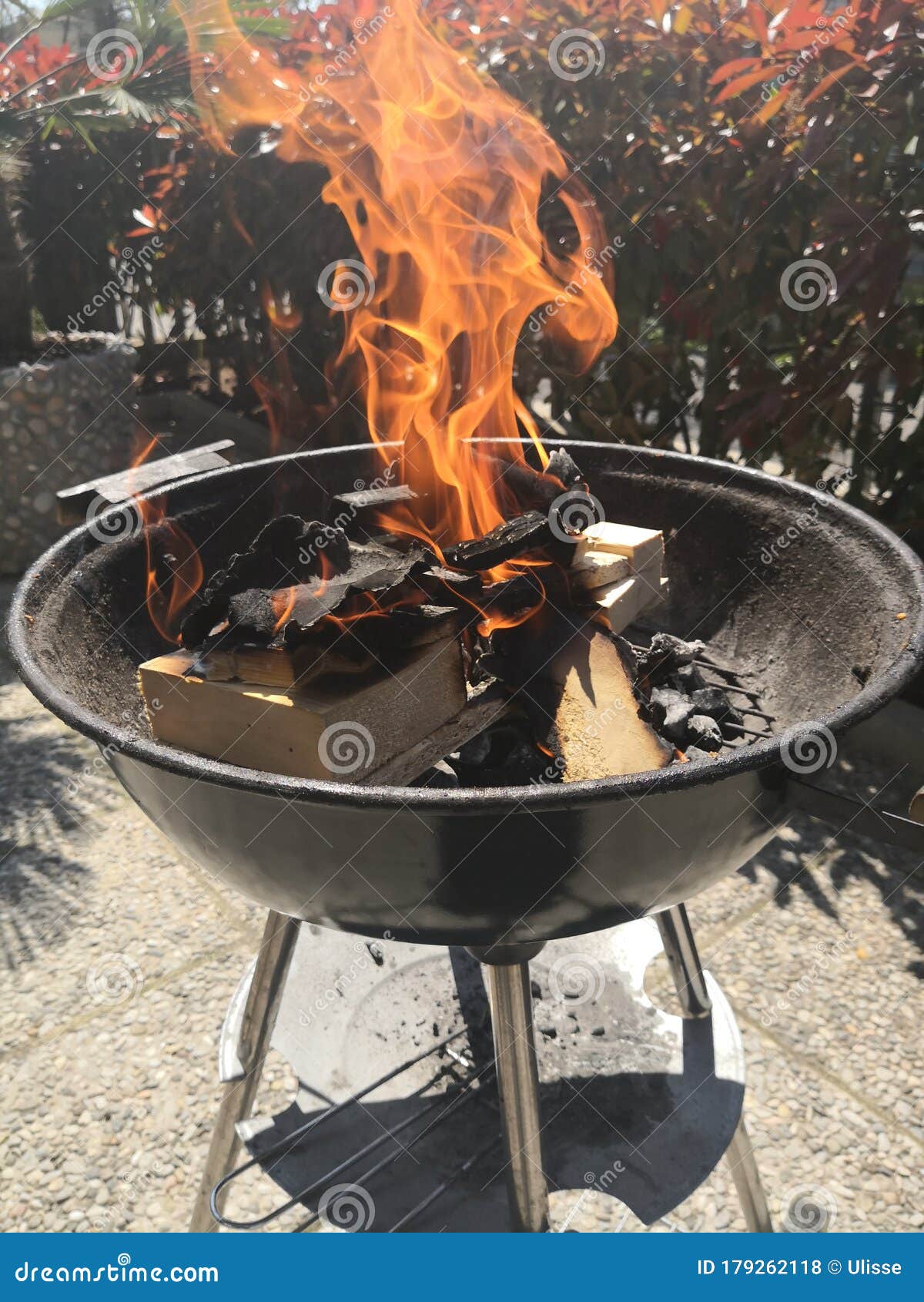 Barbeque stock photo. Image of preparation, outside - 179262118