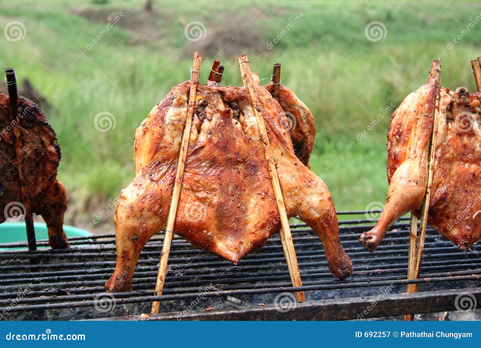 Barbequed ckicken stock image. Image of fire, cook, barbeque - 692257