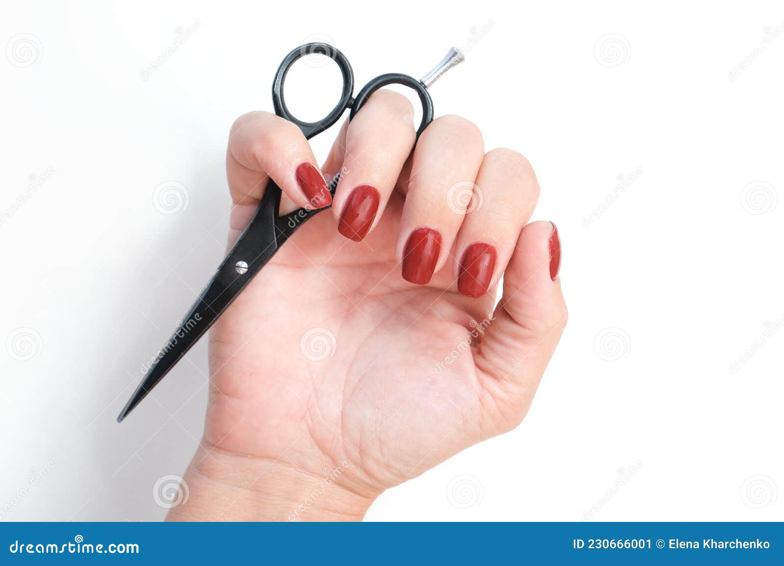 Barber Shop. Barber Hand Holding Scissors Stock Image - Image of copy ...