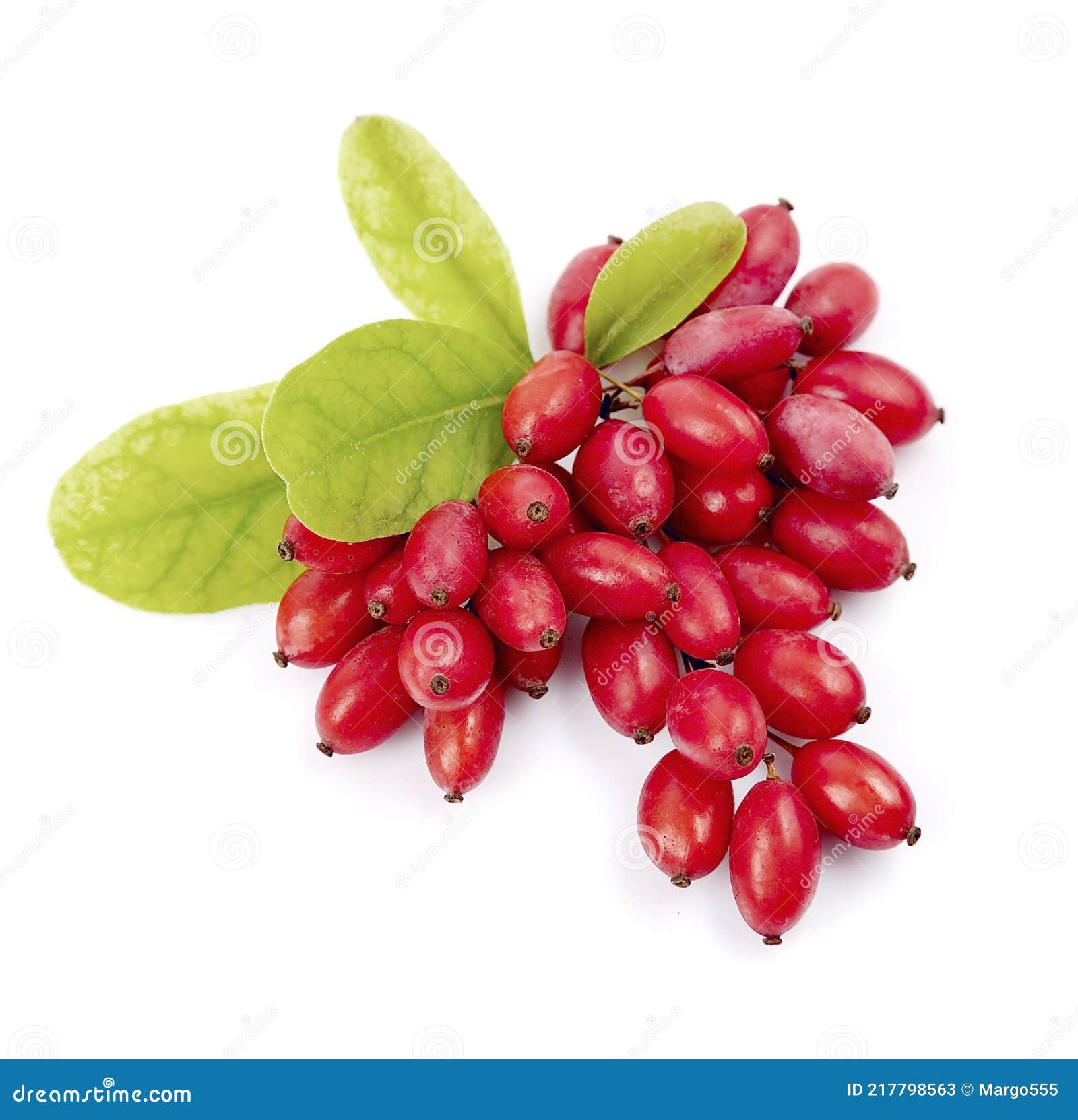 Barberries with leaves stock image. Image of diet, food - 217798563