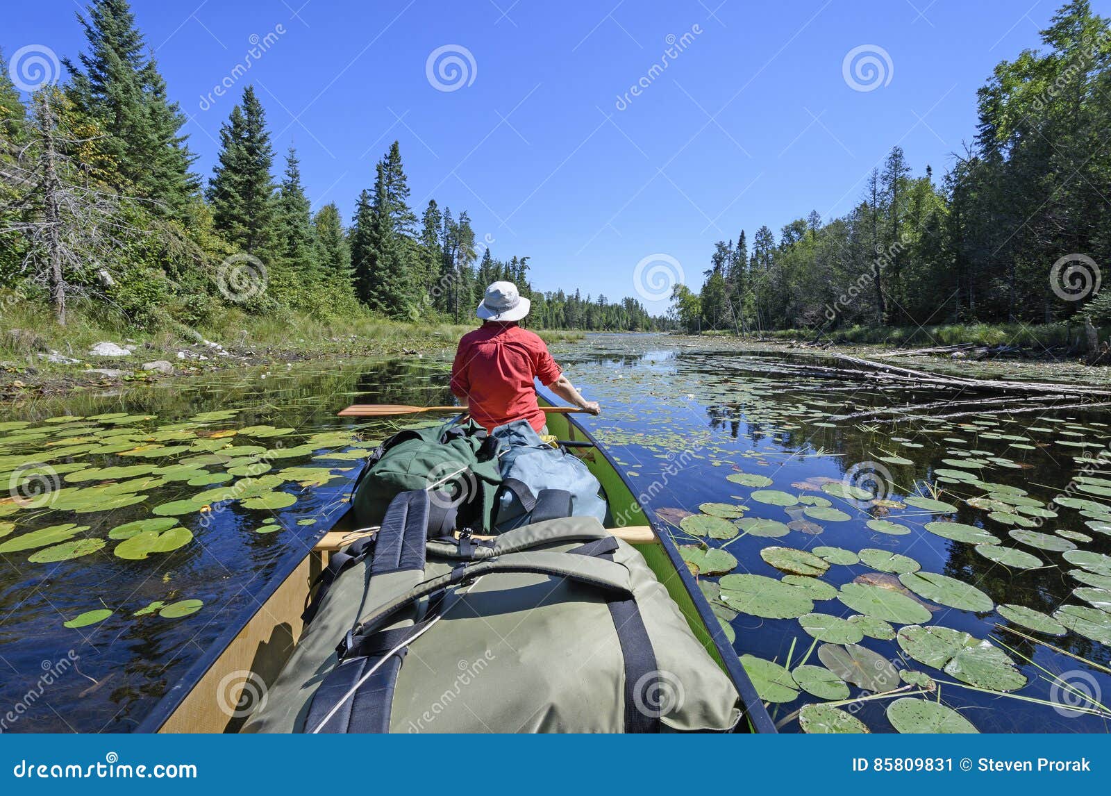 Barbotage Par Les Garnitures De Lis Image stock - Image du provincial ...