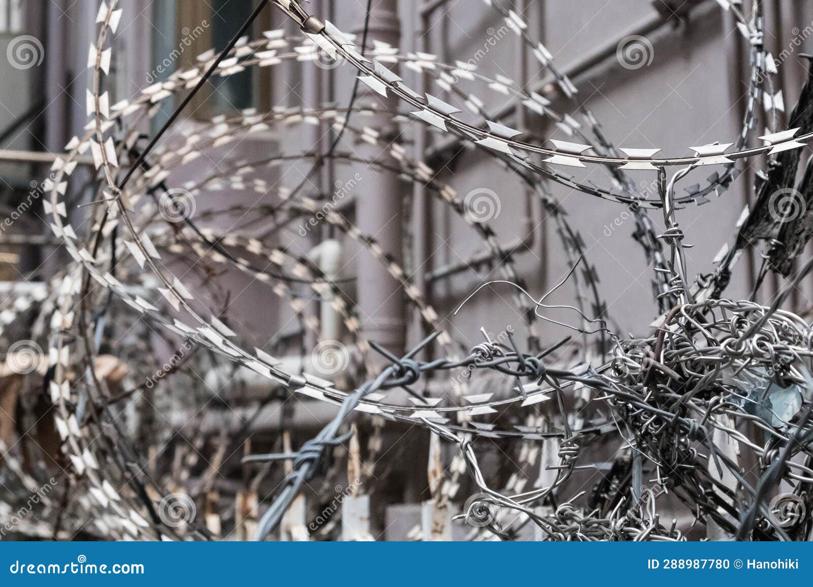 Barbwire Closeup, Fence with Barb Wire Securing Property Stock Photo ...