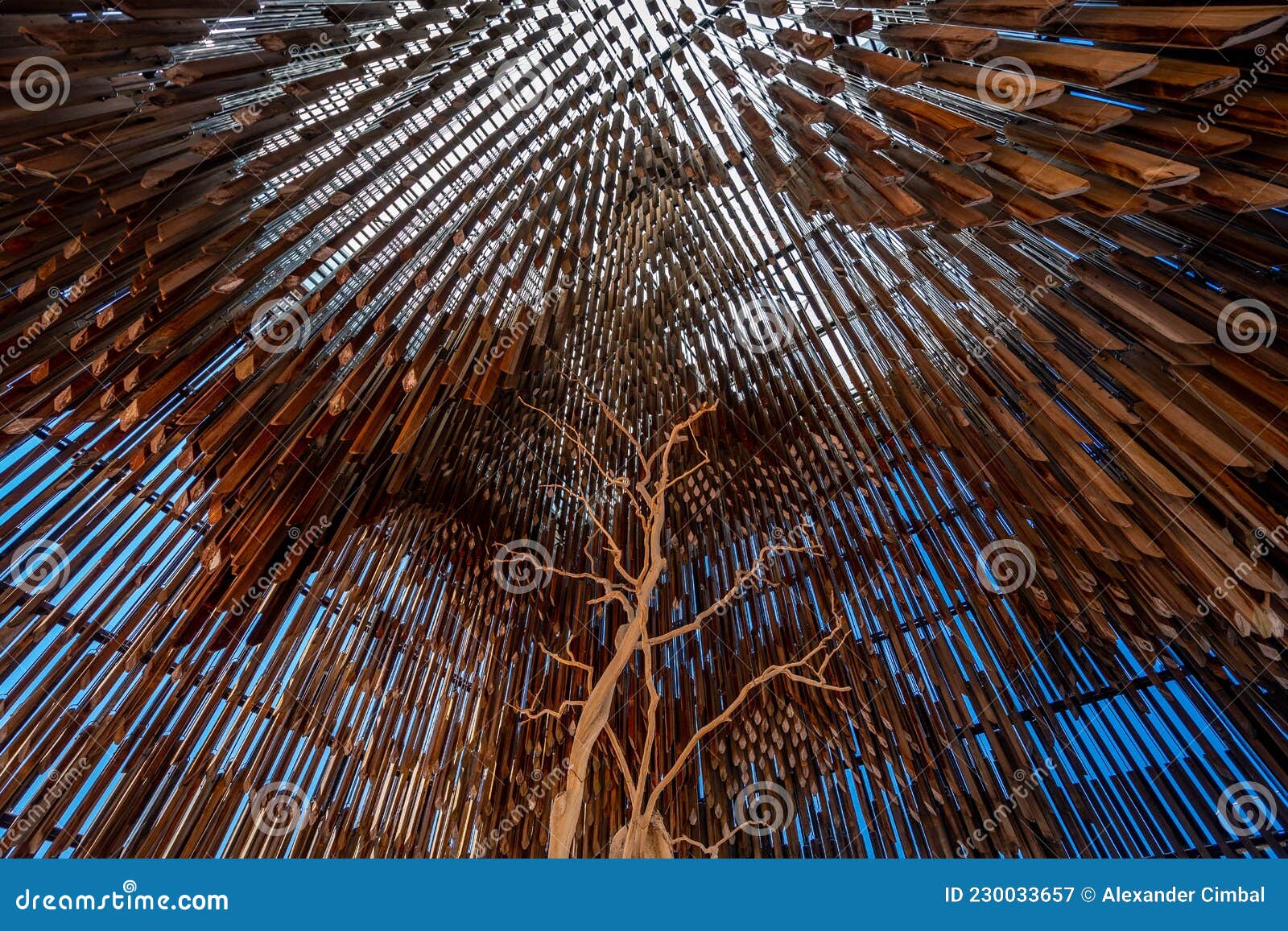Barcaldine, Queensland, Australia - the Tree of Knowledge Art ...