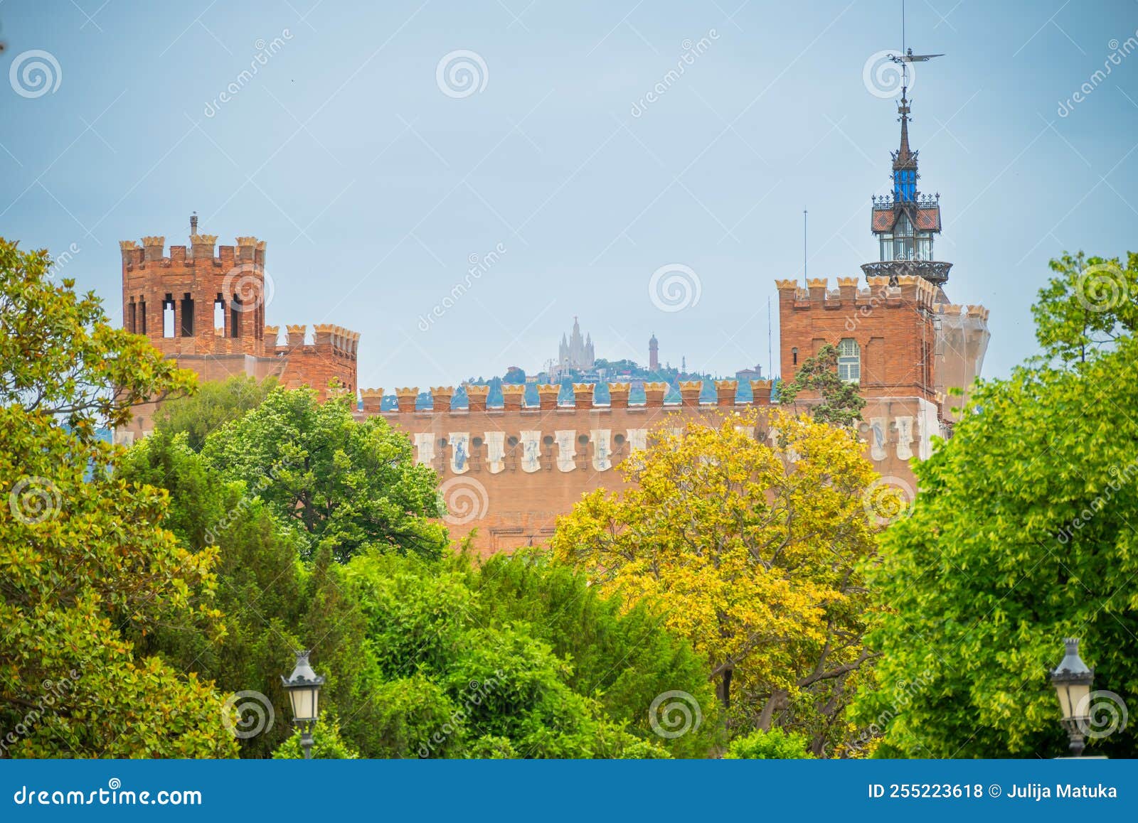 Rooftop Dragons Royalty-Free Stock Photography | CartoonDealer.com ...