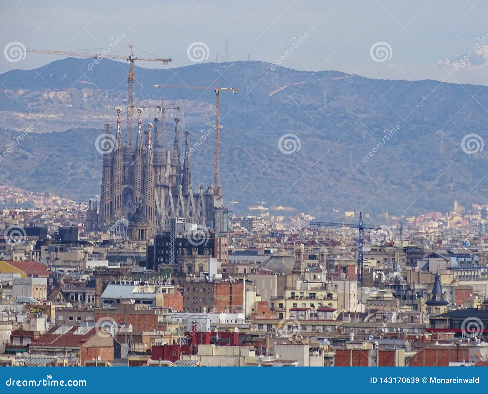 Barcelona from Top in Spring Editorial Stock Image - Image of famashy ...