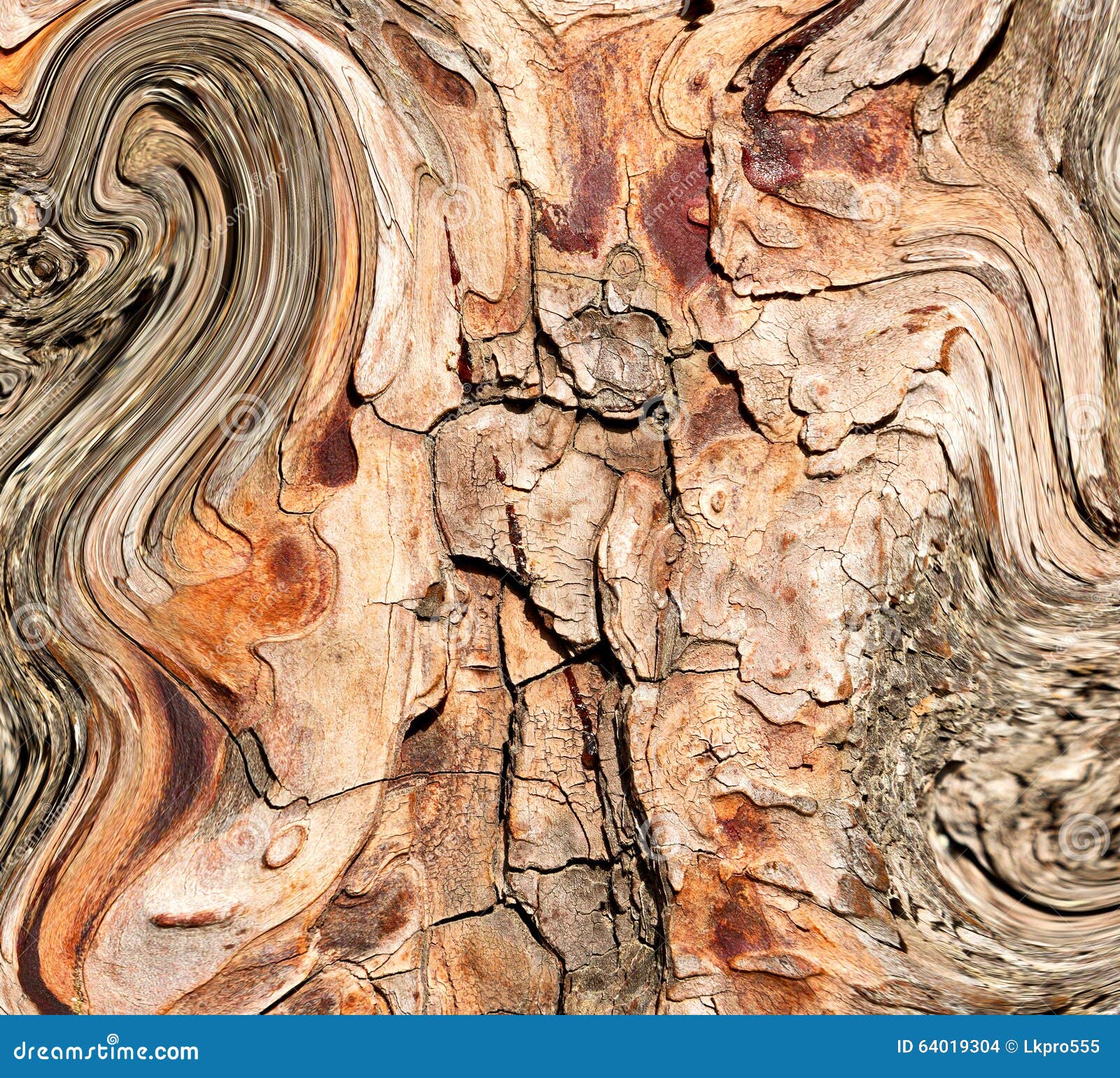 Barck in the Abstract Up of a Tree Color and Texture Stock Photo ...