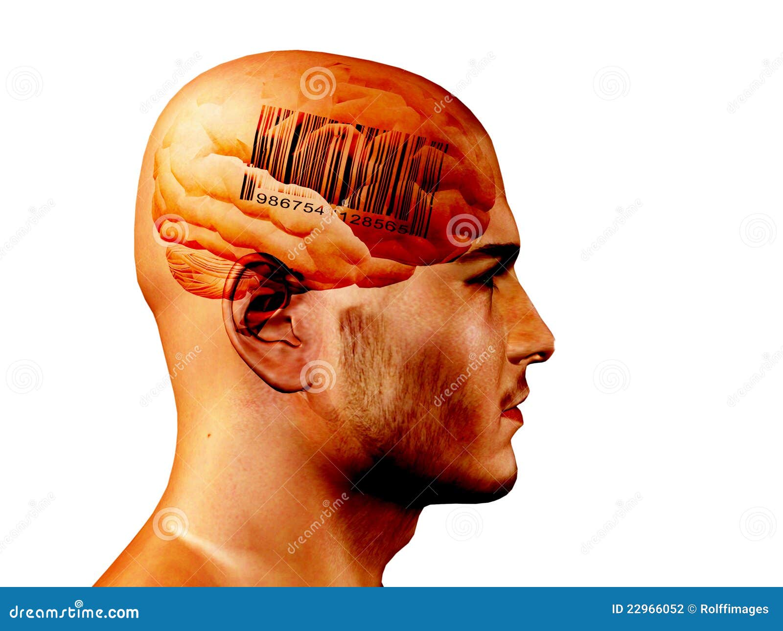 Barcode on brain stock illustration. Illustration of education - 22966052