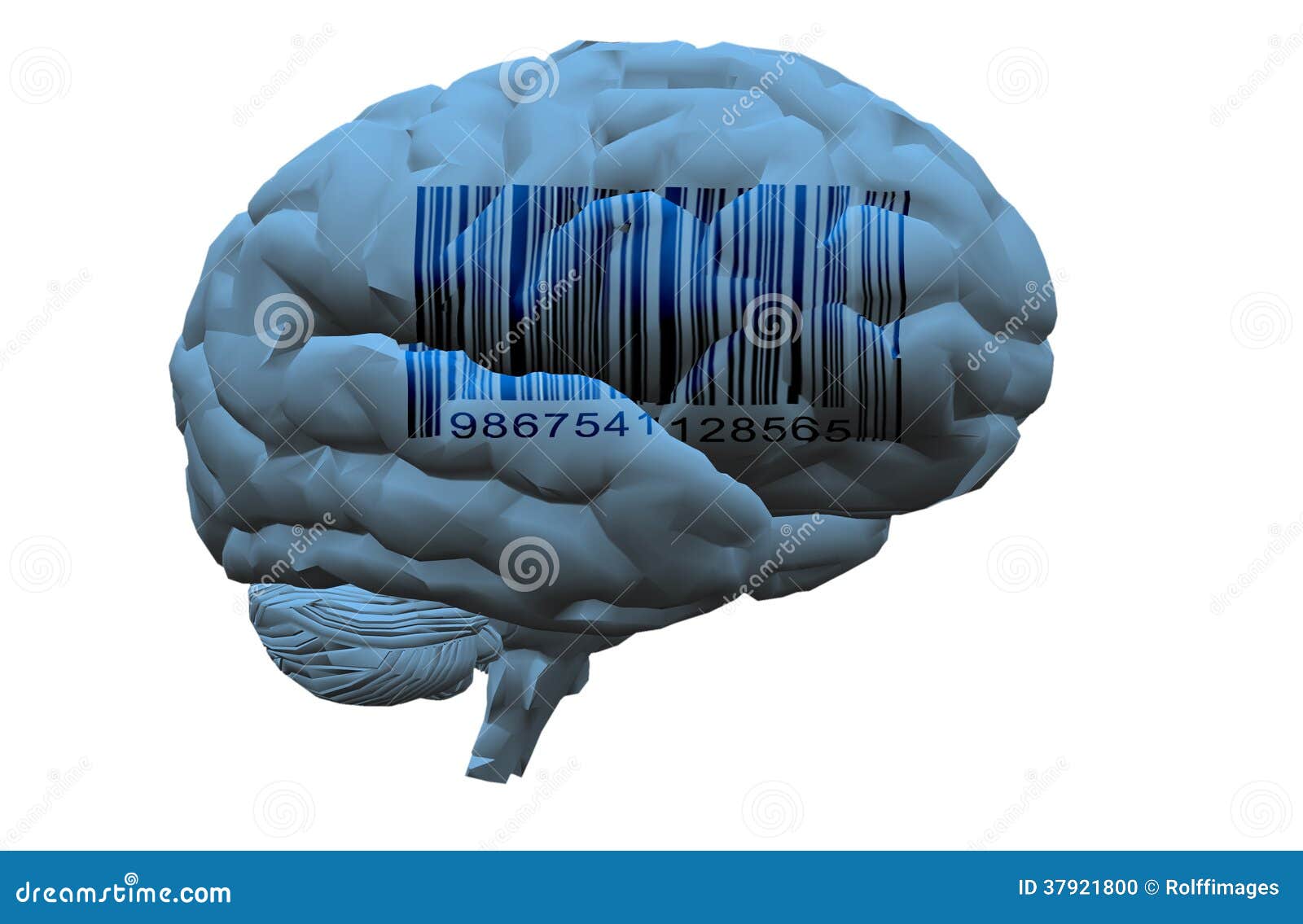 Barcode on brain stock illustration. Illustration of concept - 37921800